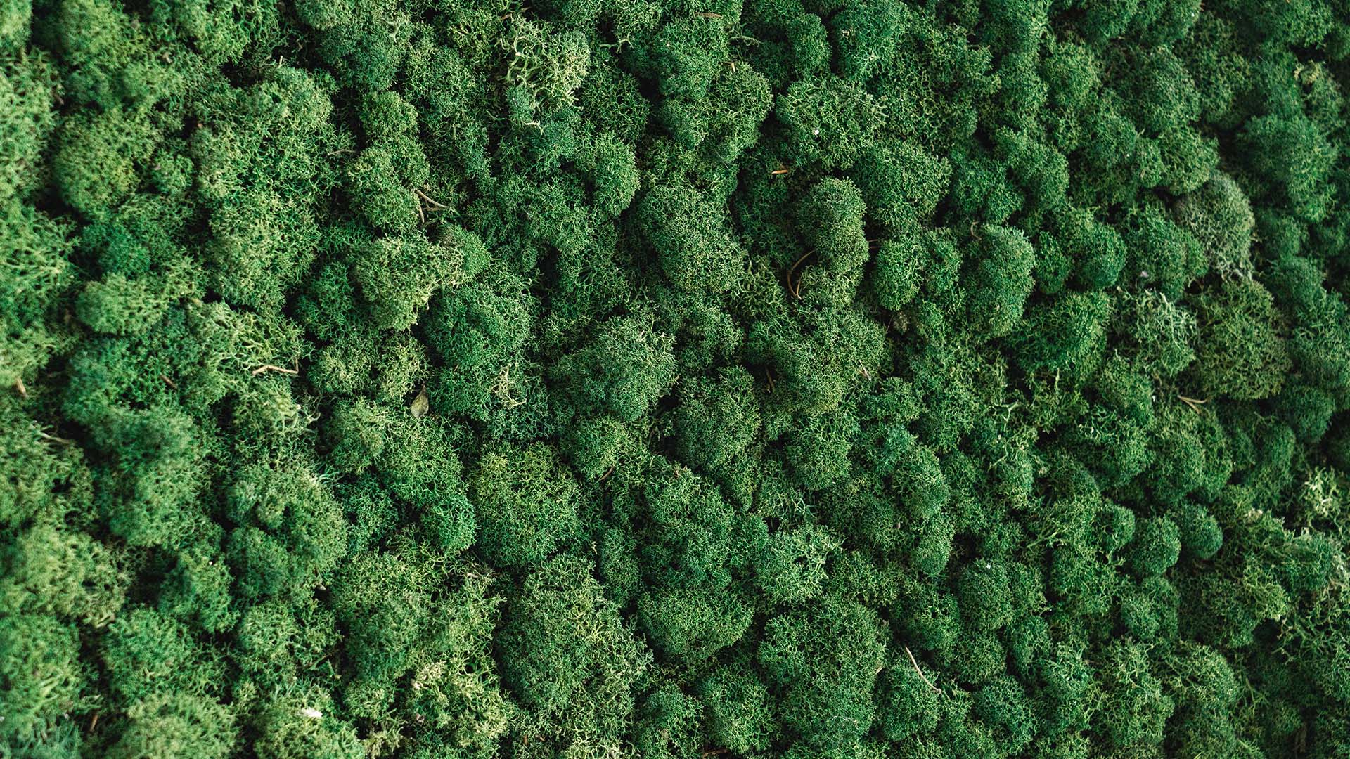 Unlocking the Power of Nature: The Biophilic Approach to Agriculture ...